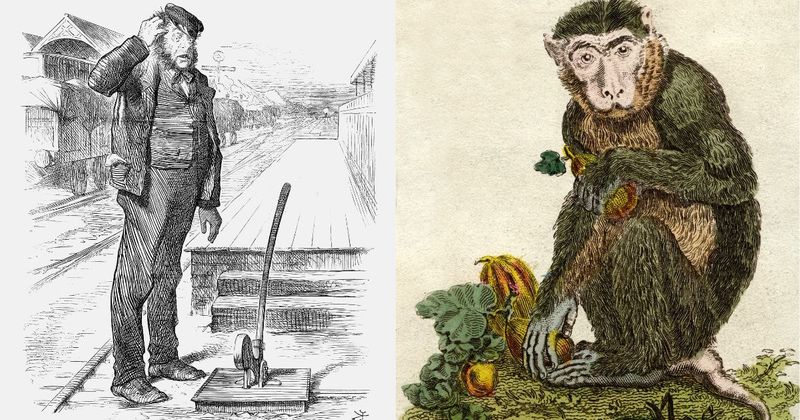 Meet the baboon who officially operated railway signals for nine years ...