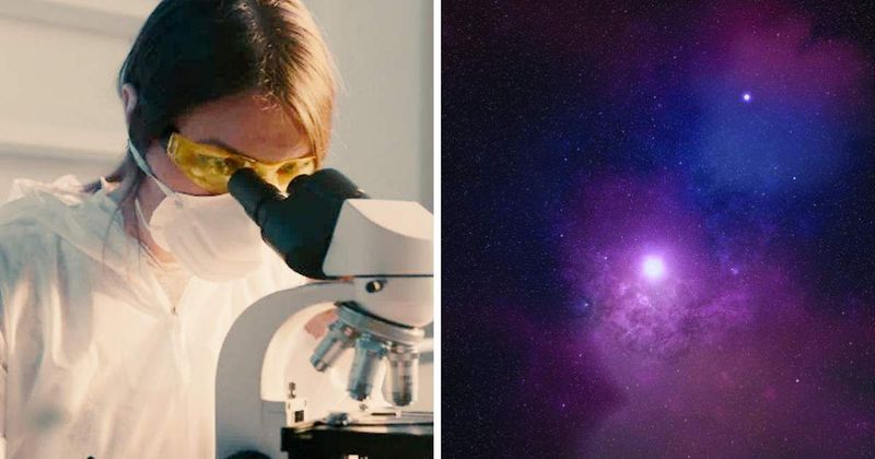 Daughter discovers an astounding sight when she places dad's ashes ...